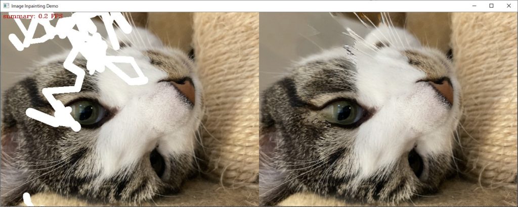 Image Inpainting Demoの実行（Windows編） | OpenVINO